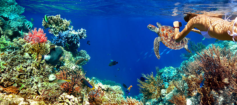 Une croisière aux Bahamas, véritable paradis